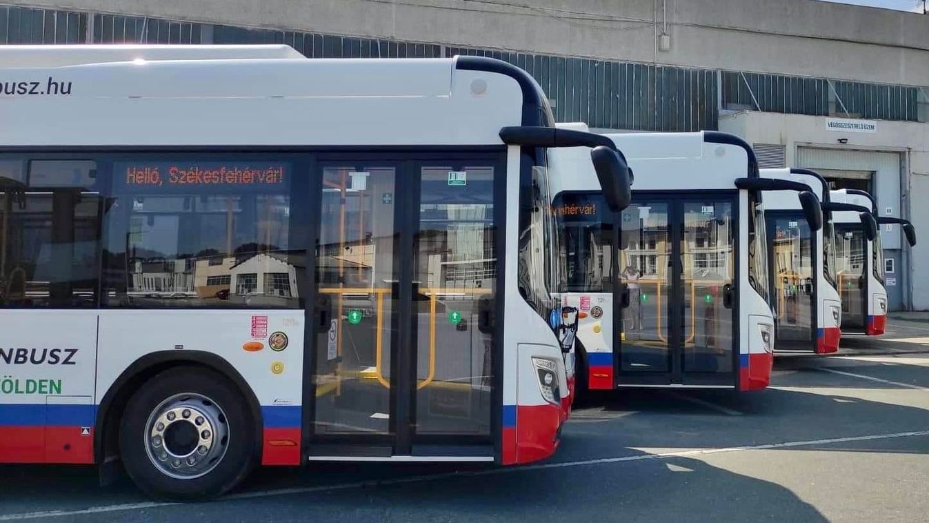 Újabb négy elektromos Ikarus busz áll munkába Fehérváron