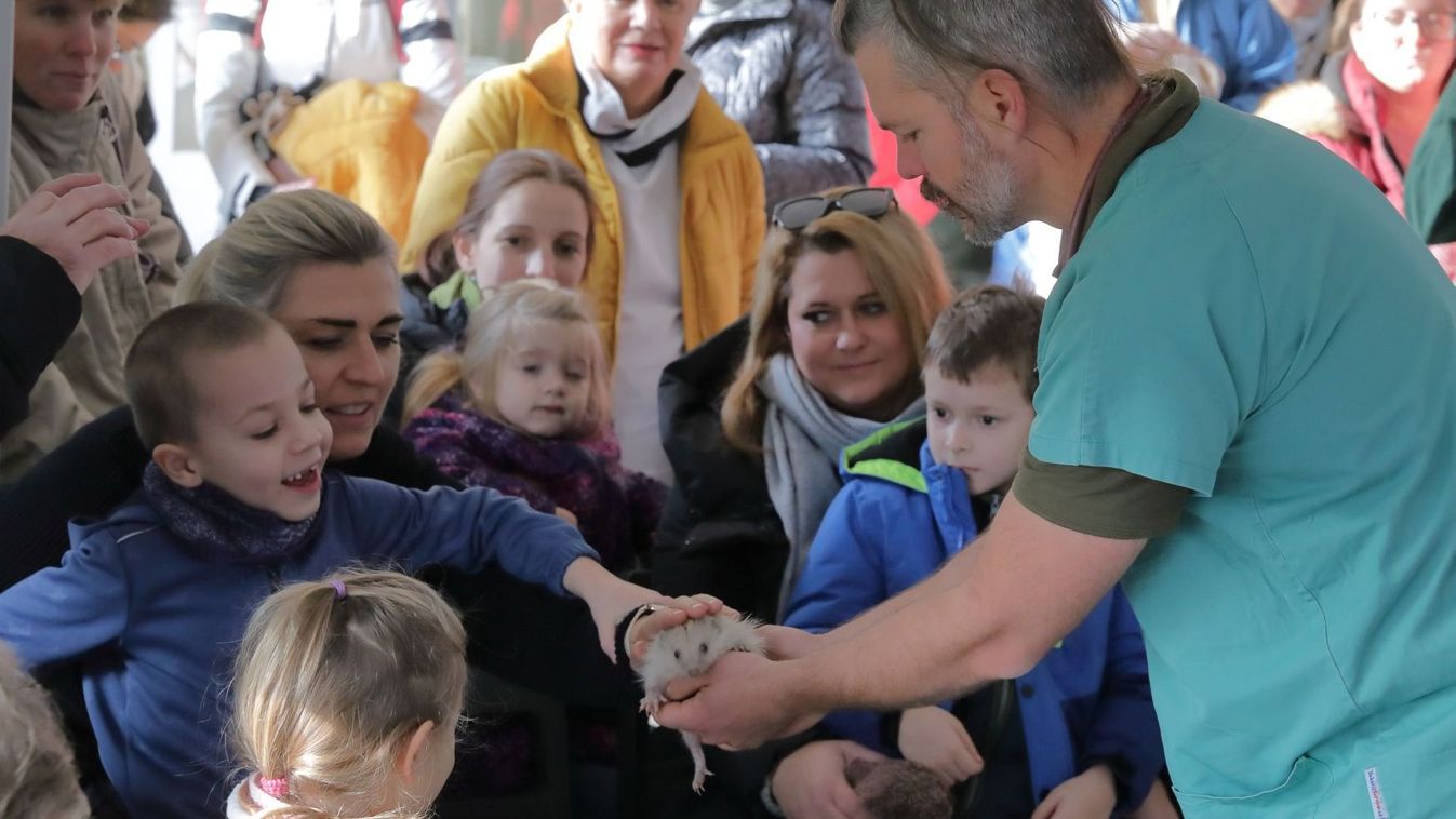 Kekszet majszoló nagy pele és tenyérben elférő denevér – Vad vasárnapot ...