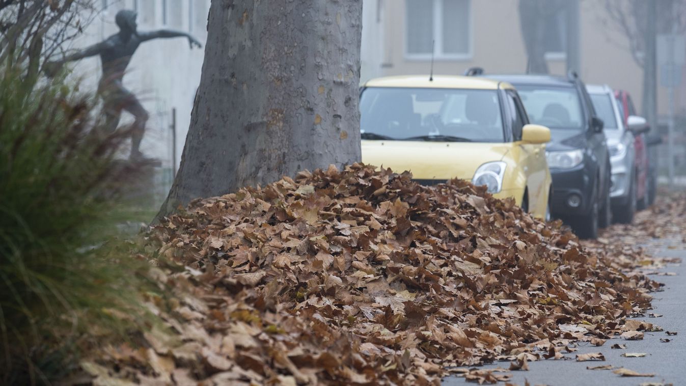 Parkolási tilalmat vezetnek be a Gyümölcs utcában Parkolási tilalmat vezetnek be a Gyümölcs utcában