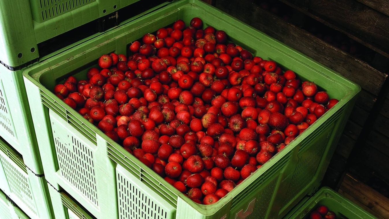 Friss termékek szállítása és tárolása újra felhasználható csomagolás ...