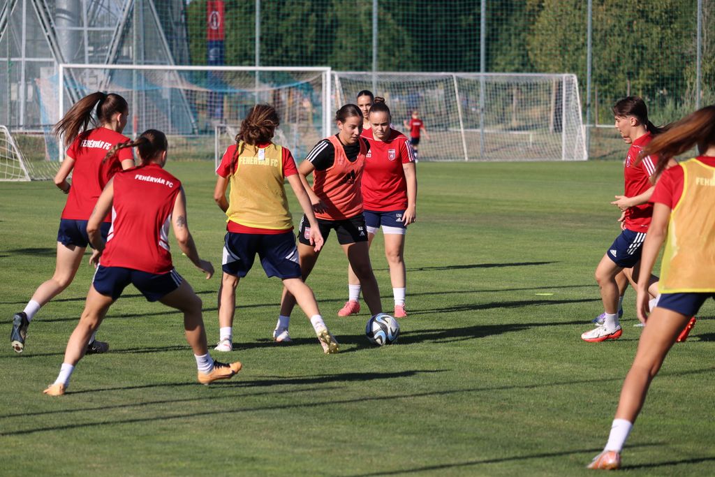 Videoton FC Fehérvár: cél a bajnoki cím? Válaszolt a vezetőedző!