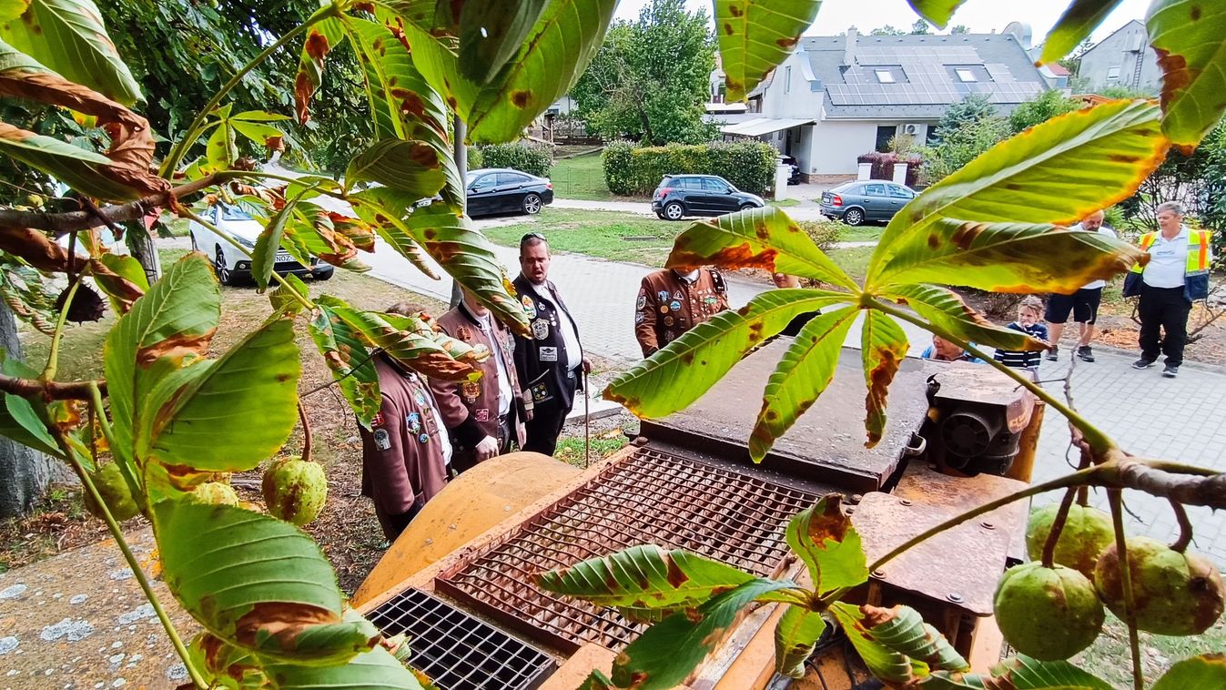 Brutális erővel támad a 15 tonnás föld alatti lény