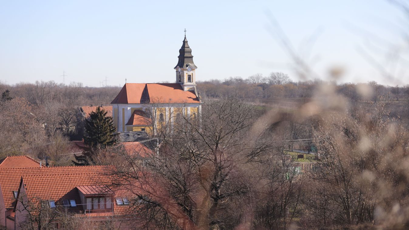 Verebi választás: új fejlemények