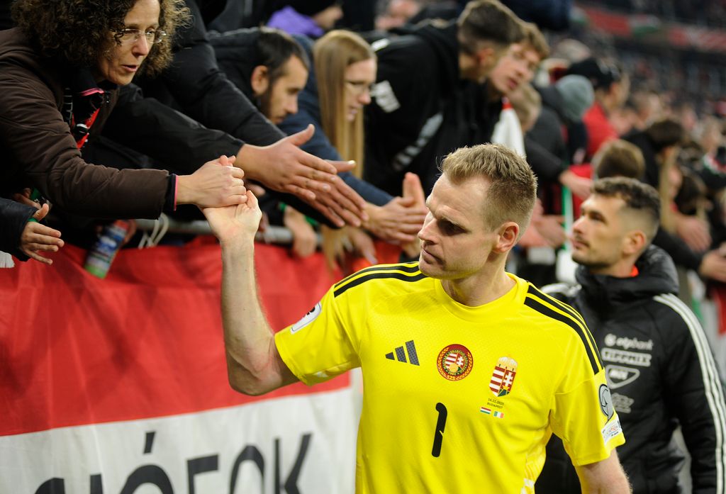 Magyar ír meccs: percről percre, statisztikák, eredmény, minden egy helyen!