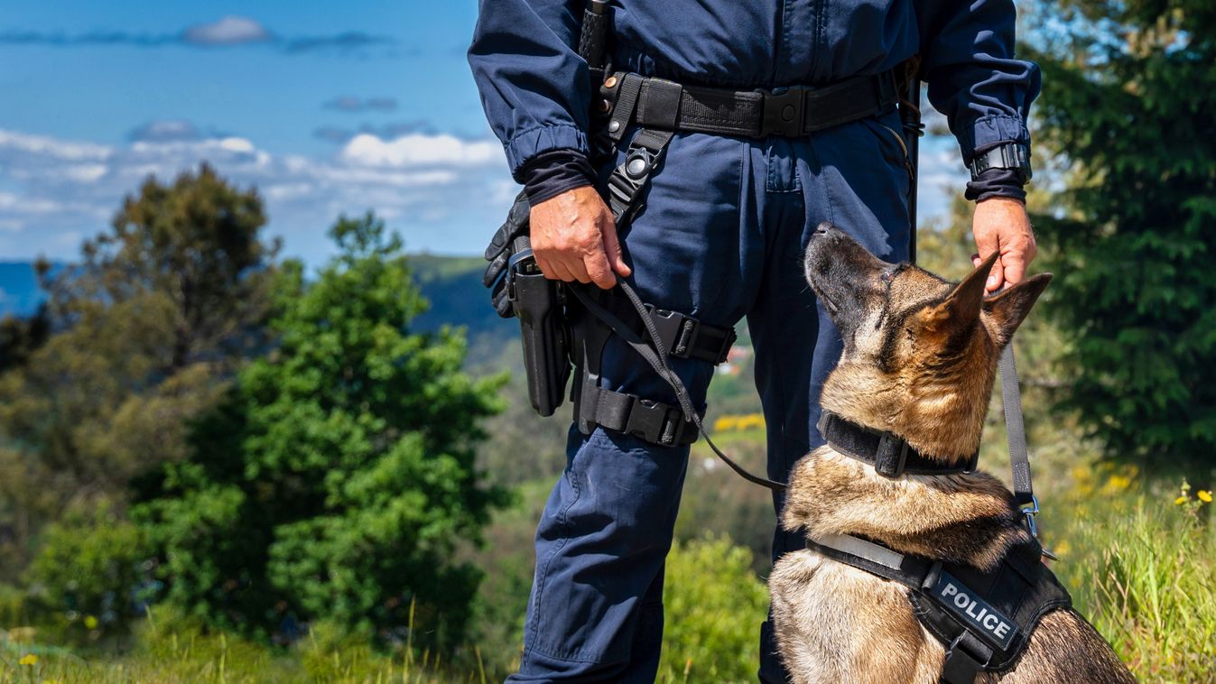 Rendőr kutya: Bővítené szolgálati ebeinek számát a rendőrség