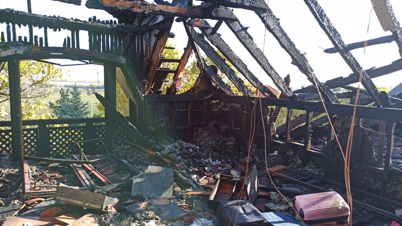 Pavelcze László speciális mentő tanácsai azoknak, akik nyugodt ünnepre ...