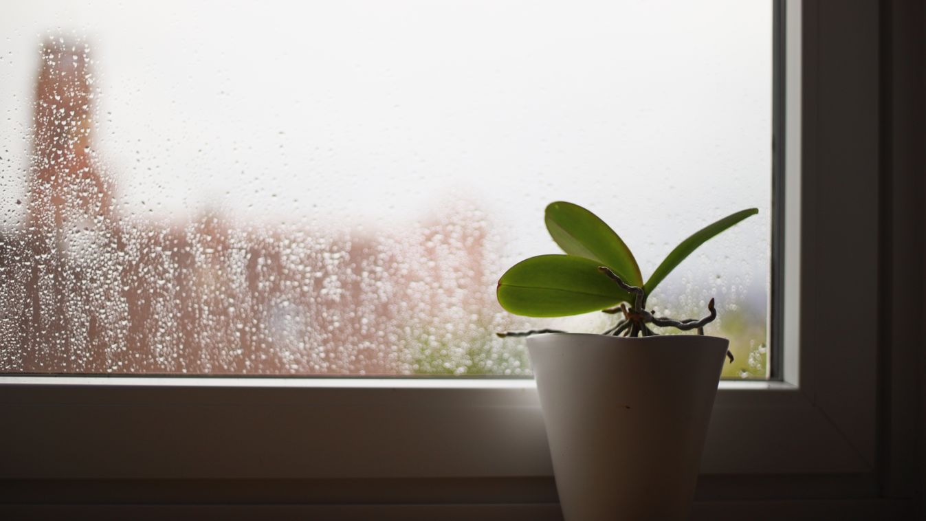 Holnapi időjárás, avagy nem tágít továbbra sem a köd