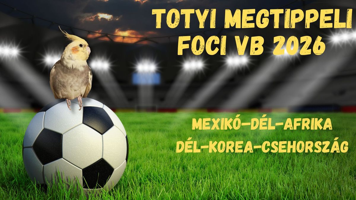 Totyi megtippeli: a foci vb első mérkőzéseinek kimenetele – videó